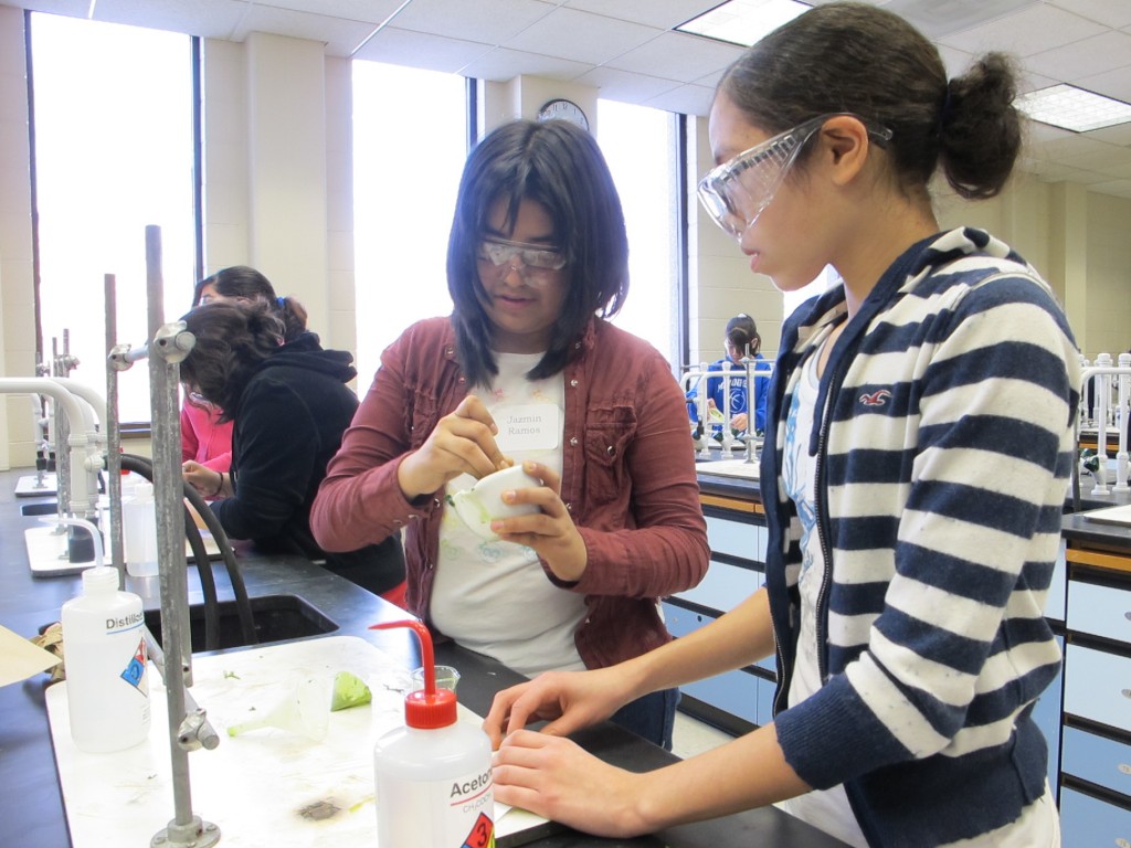 10 Resources for Encouraging STEM Girls