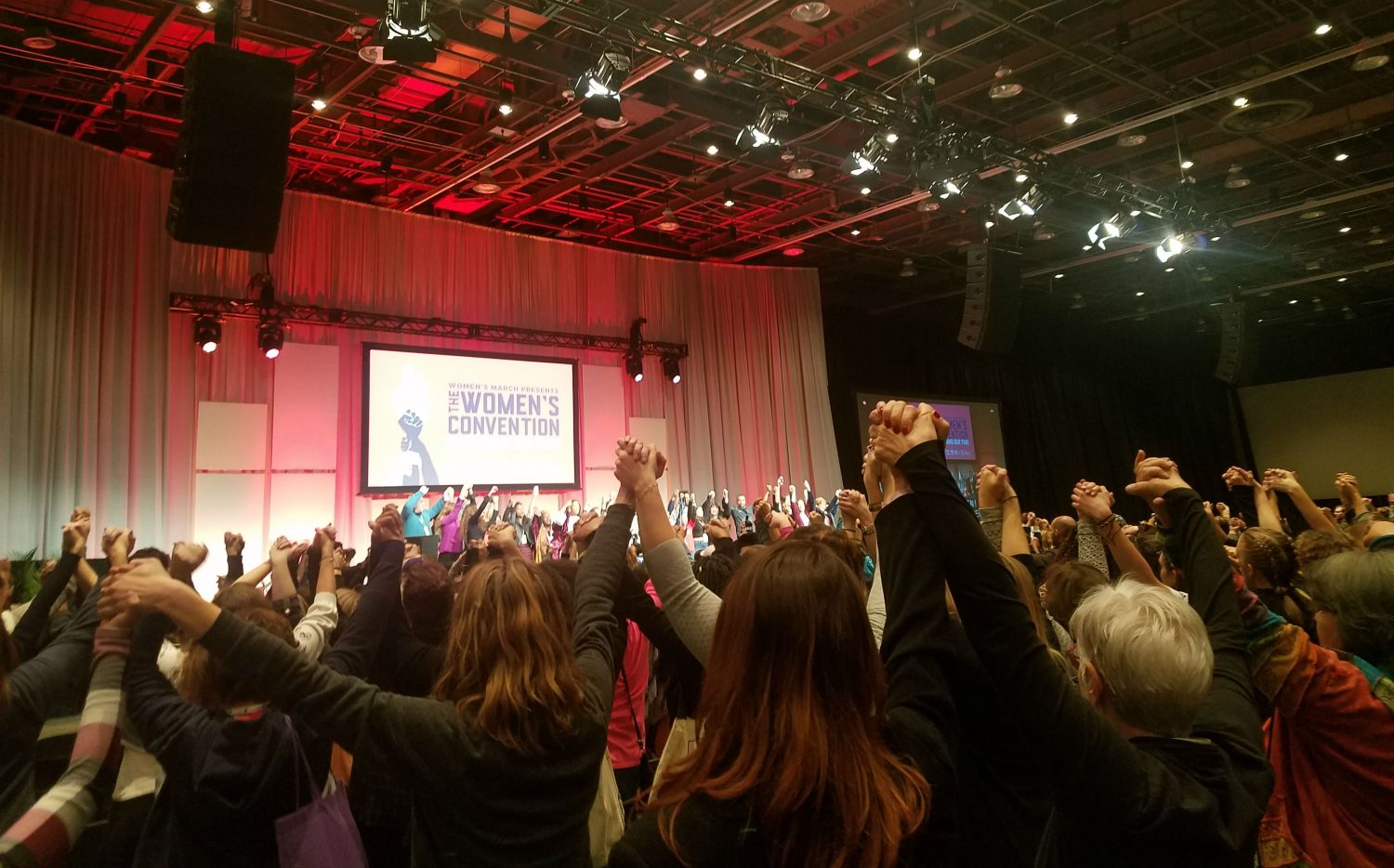 At the Women’s Convention, Ire, Information and Action Plans