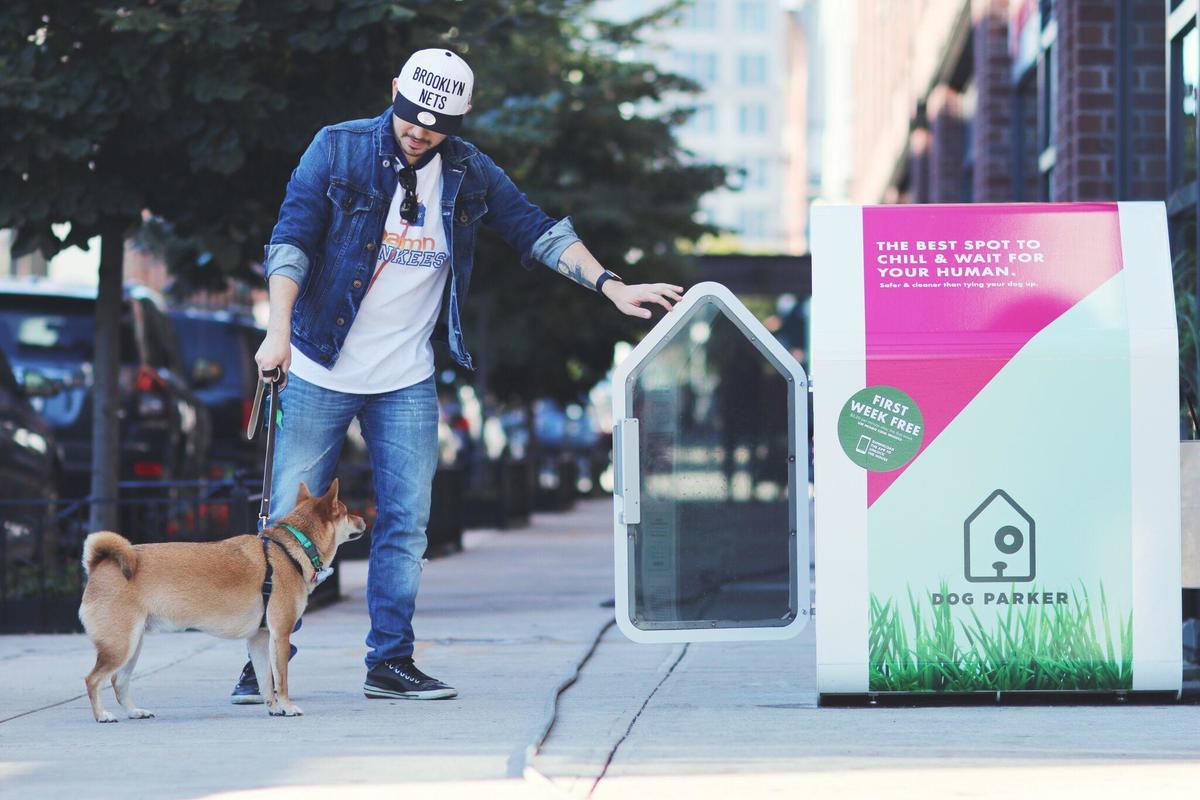 5 Crowdfunders to Watch - Friendly Creations